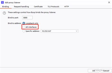 Burpsuite 代理和浏览器设置burpsuite代理设置 Csdn博客