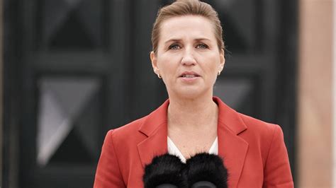 Neuwahlen nach Nerzqualen Dänische Regierungschefin ruft Urnengang aus