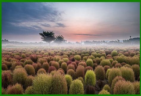 Code 16k Barcode Advantages And Disadvantages