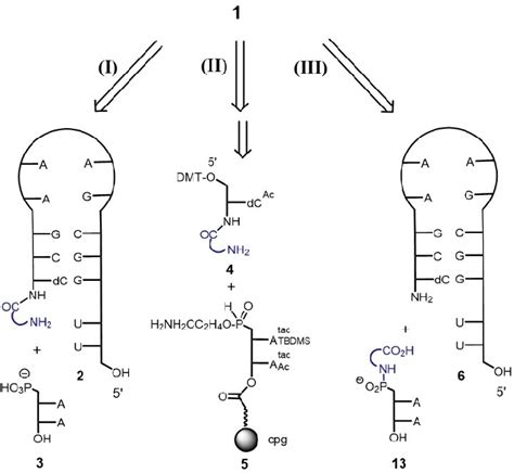 Retrosynthetic Considerations And Key Intermediates Of Synthetic Paths