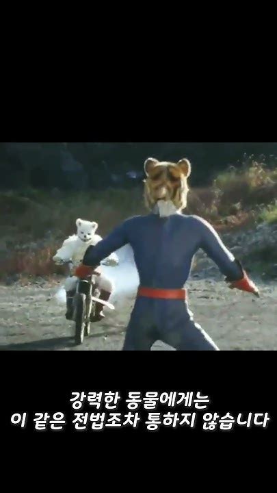 호랑이와 늑대가 실제로 만나면 벌어지는 일 Youtube