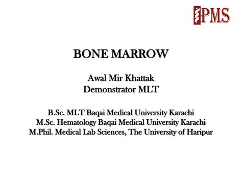 Solution Bone Marrow Structure And Functions Studypool