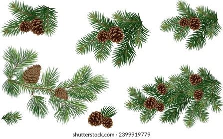 Vector Collections Christmas Tree Branch Pine Stock Vector Royalty