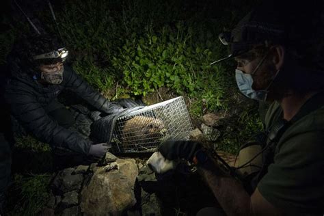 Close Up Ryan Tidman By Patricia Lanza The Eye Of Photography Magazine