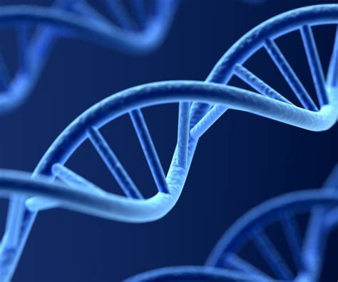 Key Concepts Archives Massive Bioinformatics