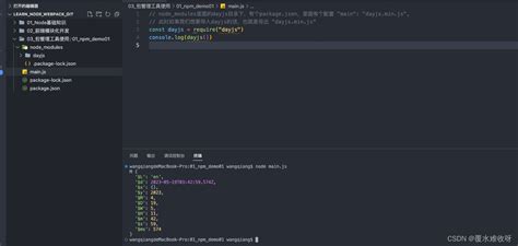 十三、前端包管理工具详解 前端包管理器 csdn博客
