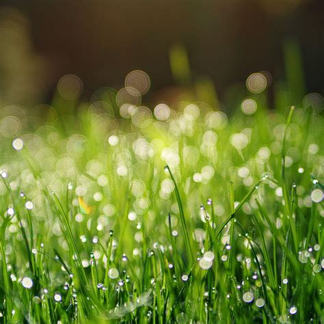 Dew Point Explained How To Keep Condensation Outside