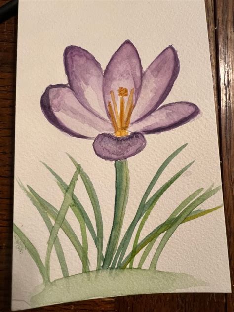 Crocus Artofit