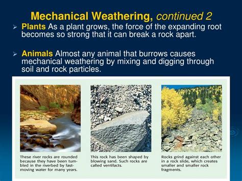 PPT Weathering And Soil Formation PowerPoint Presentation ID 2024794