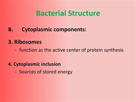 Bacteria Intro Including The Types Of Bactera Ppt