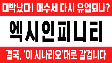 엑시인피니티 코인 대박났다 매수세 다시 유입되나 결국 이 시나리오대로 갈겁니다 Youtube