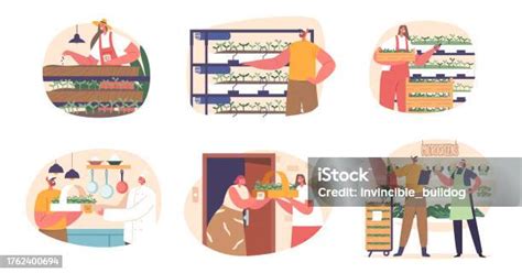 농부 캐릭터 종사 에서 Microgreen 생산 성장 작은 영양이 가득한 채소 벡터 일러스트 레이 션 농부에 대한 스톡 벡터 아트 및 기타 이미지 Istock