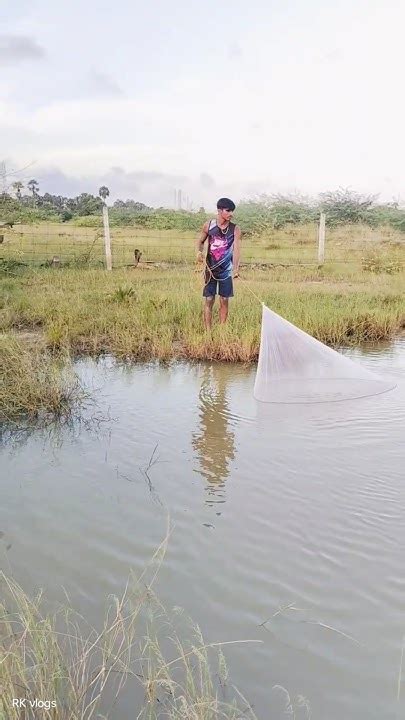 Fishing Video Today 😳 Fishing 💯 Video Fishing Fish Shorts Rkvlog