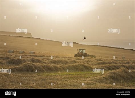 Baling Straw After Cereal Harvest Above Gardenstown Scotland Uk