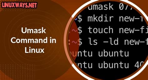 Umask Command In Linux LinuxWays