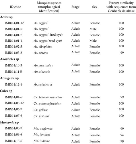 Morphological Identification And Blast Results Of Coi Gene 610 Bp