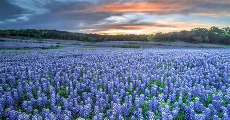 Texas Inheritance Lenders