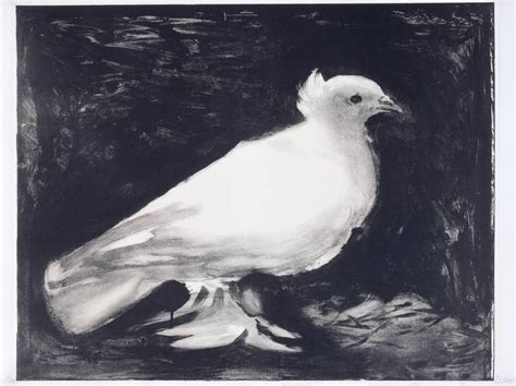 Snowce Pablo Picasso Dove 1949 Picasso Dove Pablo Picasso Artwork Picasso Art