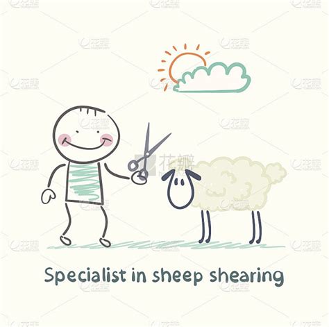 专业的剪羊毛
