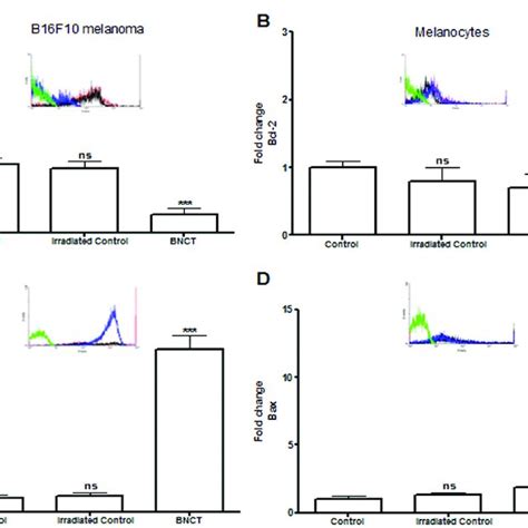 Expression Of Intrinsic Apoptotic Markers In B16f10 Melanoma Cells And