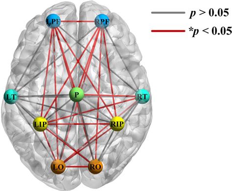 Regional Differences In Functional Connectivity Red Lines Indicate