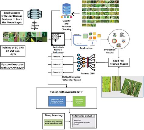 Csse Free Full Text Towards Intelligent Detection And Classification Of Rice Plant Diseases