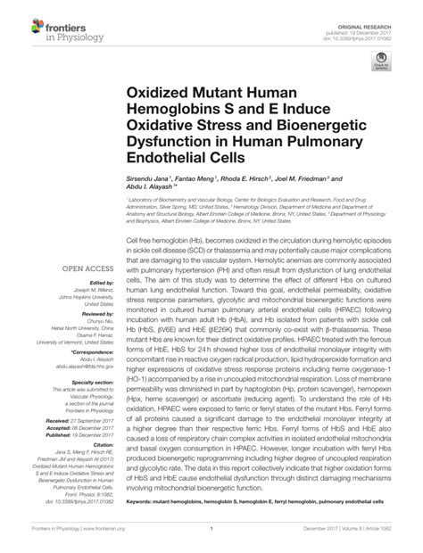 Pdf Oxidized Mutant Human Hemoglobins S And E Induce Oxidative Stress And Bioenergetic