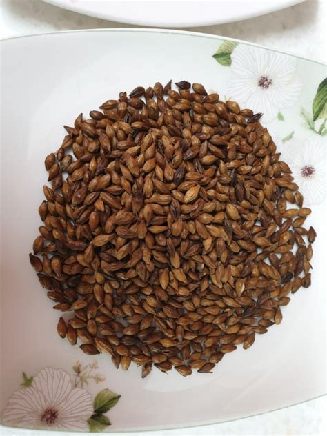 보리차 효능과 겉보리 볶아서 수제 보리차 만들기 레시피 공개 아이들 있는 집은 정수기 물대신 보리차를 끓여서 먹어봅시다 네이버 블로그