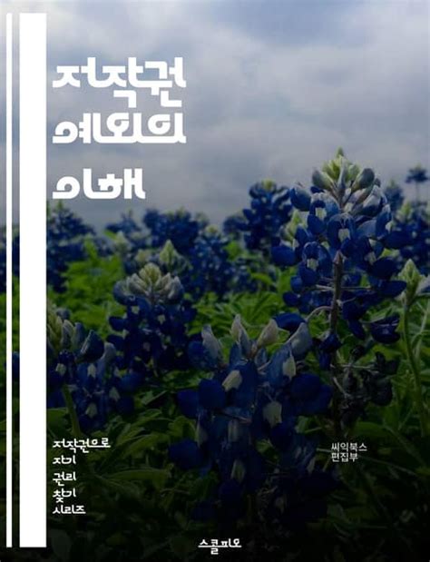 저작권 예외의 이해 저작권 예외 공정 사용 교육 연구 비영리 패러디 인용 미디어 저작물 저작권법 디지털