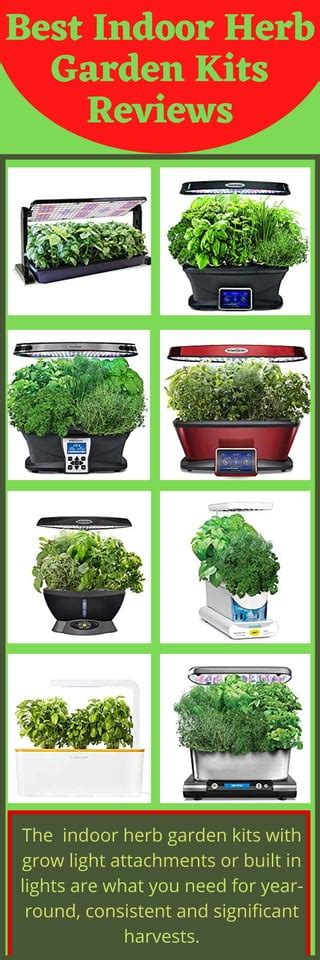 Best Indoor Herb Garden Kits Reviews Pdf