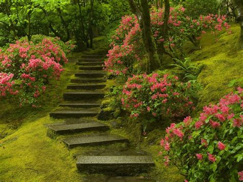 Natural Garden Wallpapers Wallpaper Cave