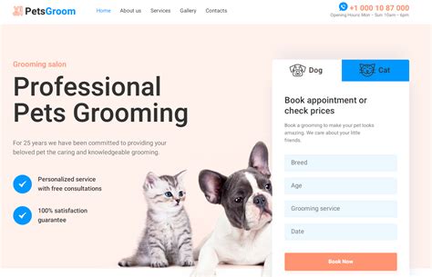 Top 3 WordPress Templates For Pet Shop Based On Elementor Zemez