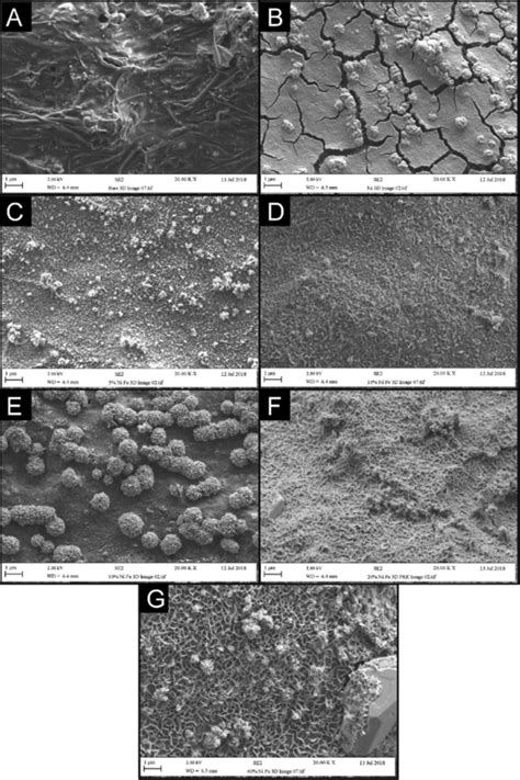 Field‐emission Scanning Electron Microscopy Feg‐sem Micrographs Of