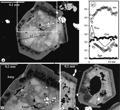 Bse Images And Compositional Profiles Of Garnet Sample 49a Showing