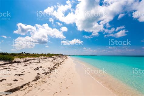 모래 해변 플 라 야 낙원 Cayo Largo 쿠바의 섬 텍스트에 대 한 공간을 복사 합니다 관광에 대한 스톡 사진 및 기타