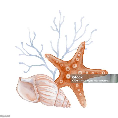조개껍데기와 해초의 수채화 구성 별 고립 된 배경에 파스텔 색상의 바다 껍질과 조류의 손으로 그린 그림 해양 빈티지 스타일의 디자인을 위한 해저 요소 갈색에 대한 스톡 벡터
