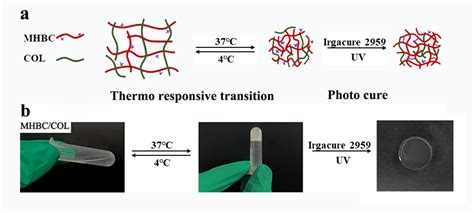 Ming Kong全国生物制造工程学术年会