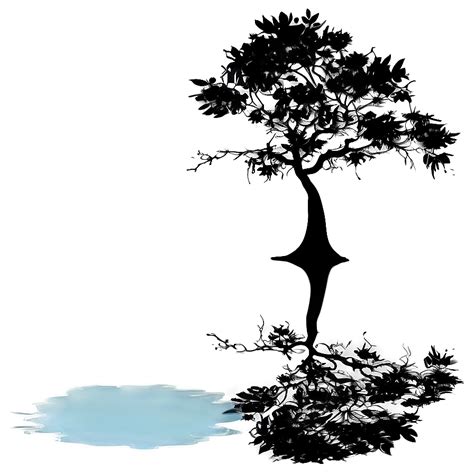 Download Black Tree Reflection Png Mpw Wallpapers Com