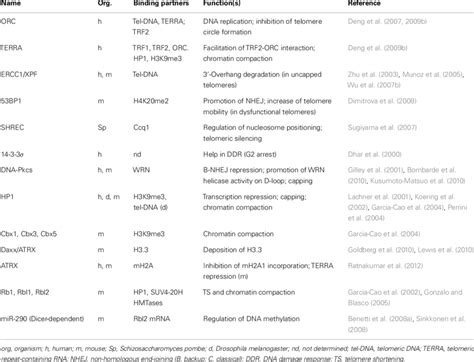 Factors Influencing Telomeric Chromatin Download Table