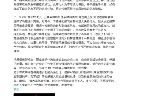 Ag麟羽游戏中与队友发生言语争论，遭up主发视频曝光，引发热议选手