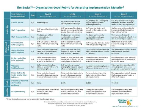 IMPLEMENTATION GUIDES Chattanooga Basics