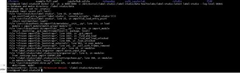 Docker Mkdir Permission Error Issue Humansignal Label Studio