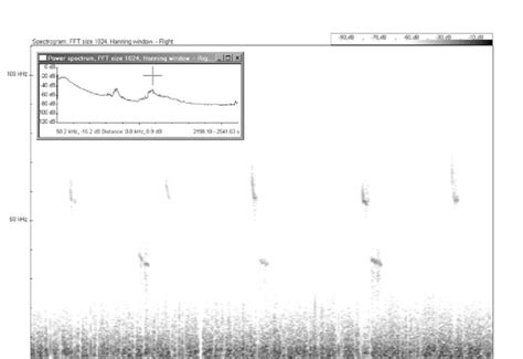 The Sequence Of Time Expanded Search Calls Of P Pygmaeus Upper Row Of