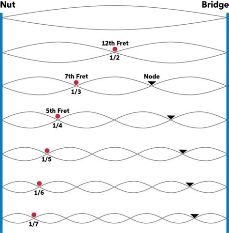 Solved A violin string of 𝐿 31 8 cm in length and 𝜇 Chegg com