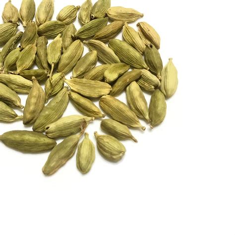 Plus Tea 플러스 티 코끝이 살짝 찡해지는 기분좋은 매운향 달콤한 봄내음도 더하는 그대로도