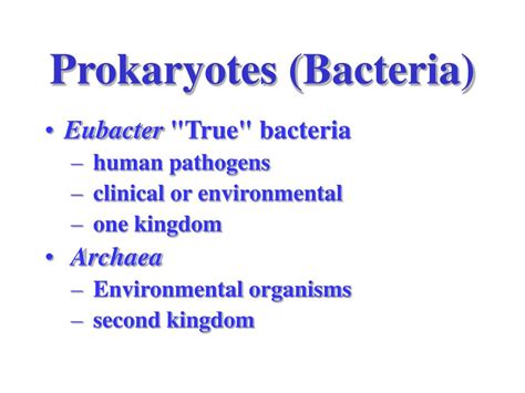 Ppt Chapter 1 The Structure And Function Of Prokaryotes Powerpoint