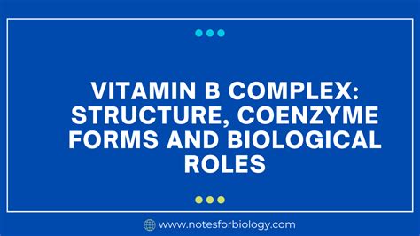 Vitamin B Complex Structure Coenzyme Forms And Biological