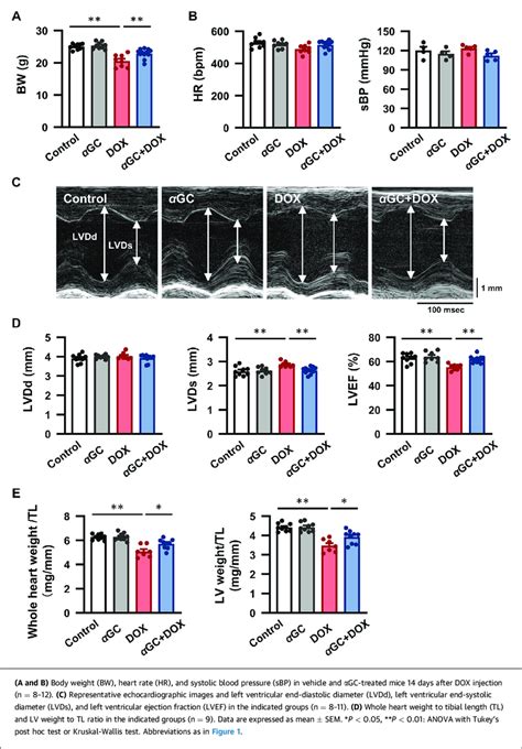 Agc Administration Attenuated Dox Induced Cardiac Dysfunction