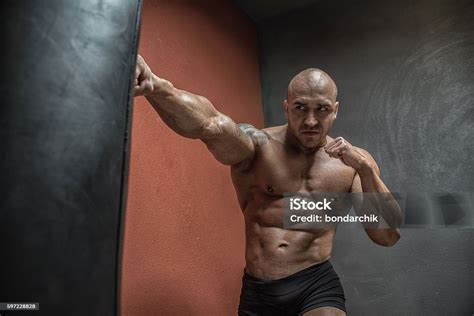 체육관에서 전투기 혼합 무술 훈련 권투 선수에 대한 스톡 사진 및 기타 이미지 권투 선수 권투 스포츠 근육질 체격 Istock