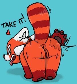 Rule34 If It Exists There Is Porn Of It Red Panda Rule34 If It Exists There Is Porn Of It Red Panda